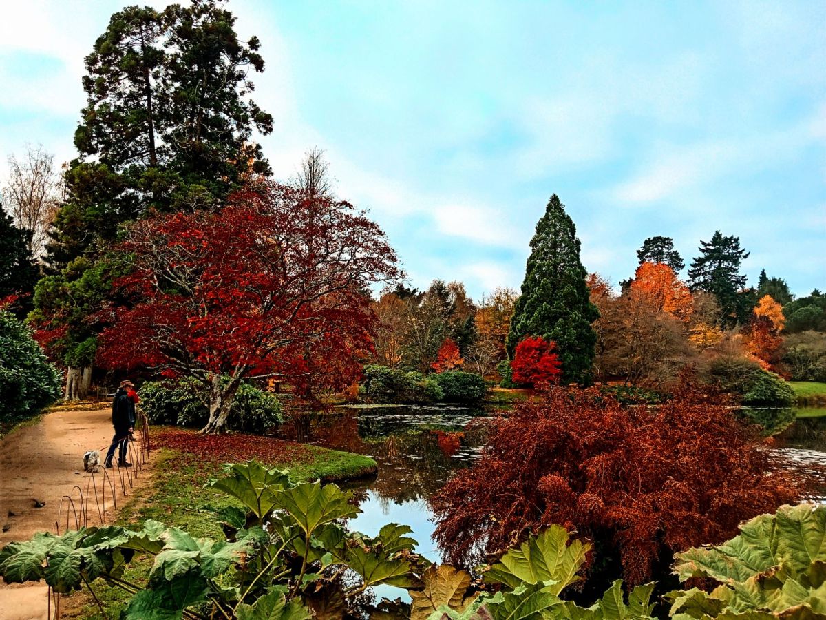 Ali and Guy explore: Sheffield Park. – Exploring With Ali And Guy